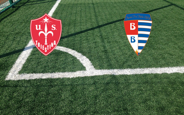 Formazioni Triestina-Pro Patria | Pronostici e quote | 04-05-2022
