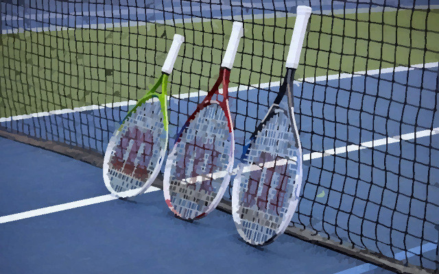 WTA US Open 2024: pronostico Karolina Muchova - Jasmine Paolini